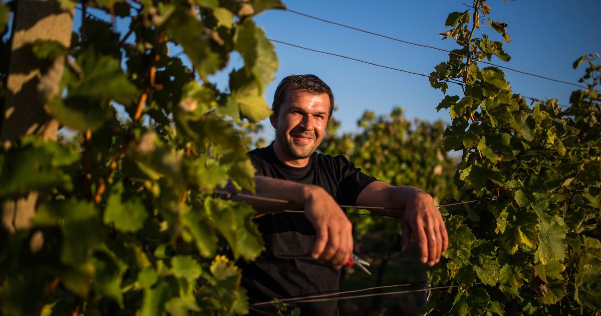 Pre cibéby sa oplatí riskovať, tvrdí Tibor Vereš (interview 2. časť)